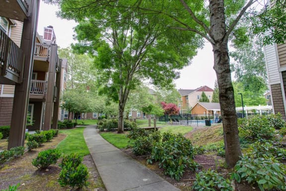 Photos and Video of Commons at Verandas in Tanasbourne Apartments in ...