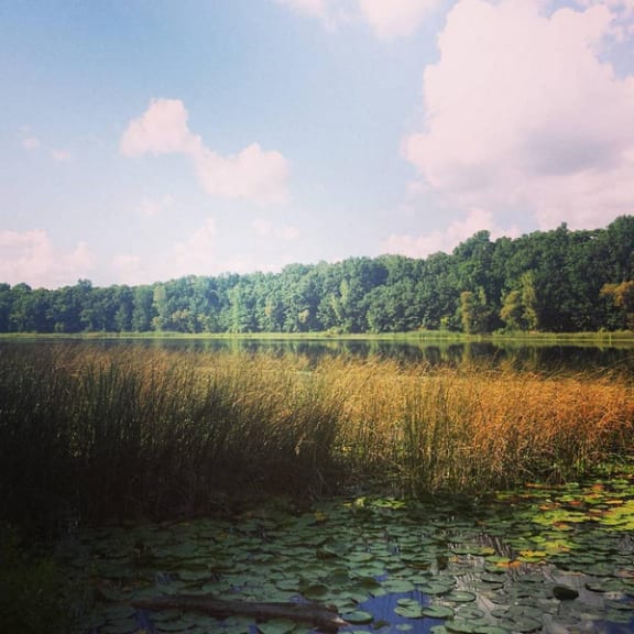 Photos and Video of Winchell Way in Kalamazoo, MI