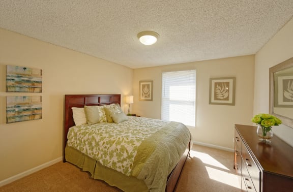 Photos and Video of Regency Court Apartments in Orchard Park, NY