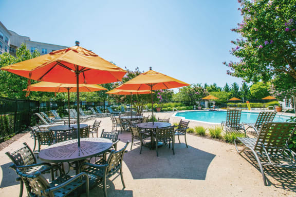 Photos and Video of Springfield Crossing in Springfield, VA