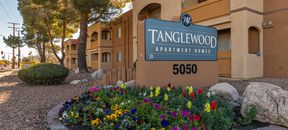 Photos and Video of Tanglewood in Tucson, AZ