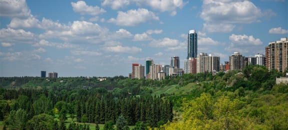 Photos and Video of The Hendrix in Edmonton, AB