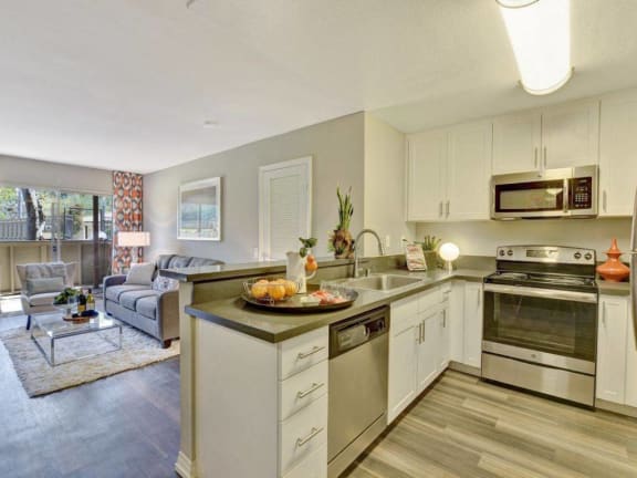 Park Pointe | Apartment and Community Amenities