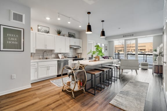 Modern Pet Friendly Apartments in Shoreview, MN | Emrik SV