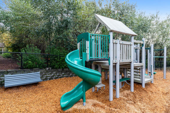 Willow Tree Grove | Apartment and Community Amenities