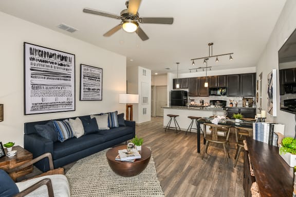 Dunedin Commons Apartments | Apartment and Community Amenities