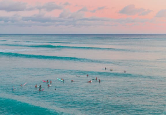 Floor Plans of Palehua Terrace 2 in Kapolei, HI
