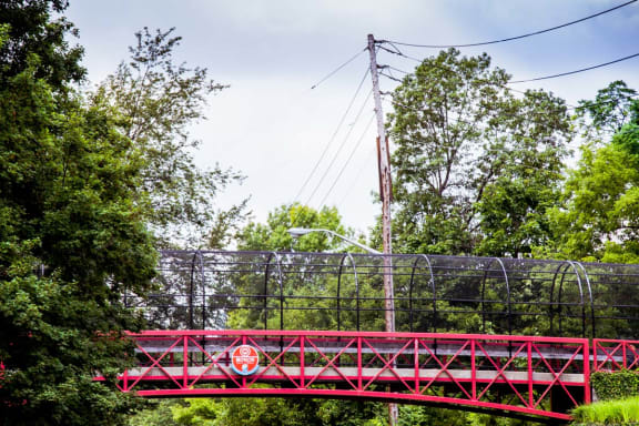 Modern Apartments in Broad Ripple, Indianapolis | Monon Living