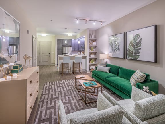 The Metropolitan | Apartment and Community Amenities