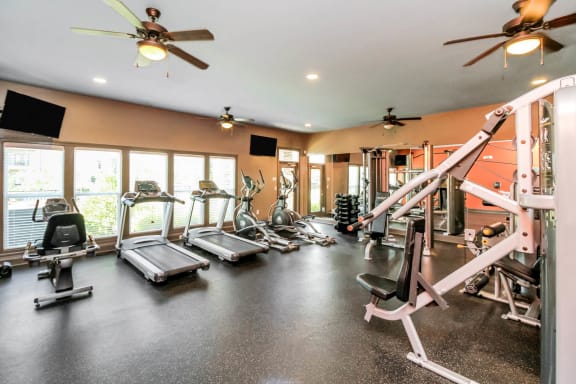 Copperfield | Apartment and Community Amenities