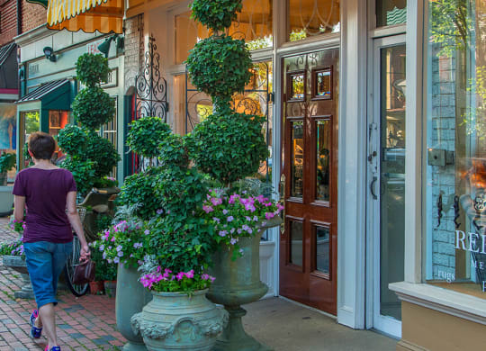 Photos and Video of The Porter Del Ray in Alexandria, VA