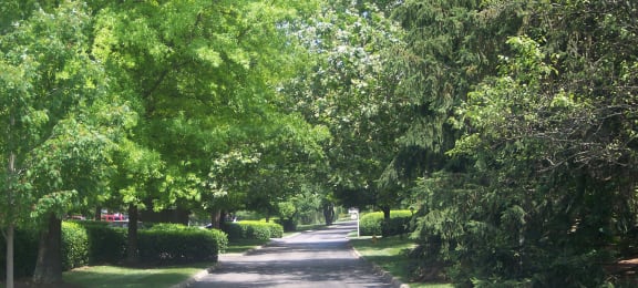 Photos of Merrick Place | Apartments in Lexington