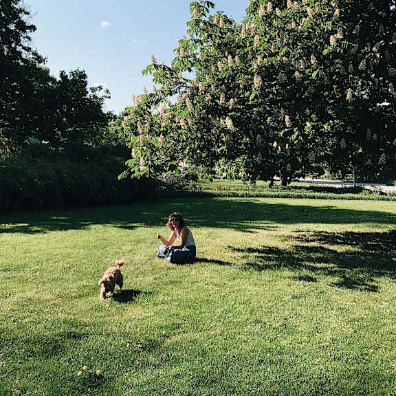 Brand New Luxury Apartments in Parkside D.C. | Jayde Parkside