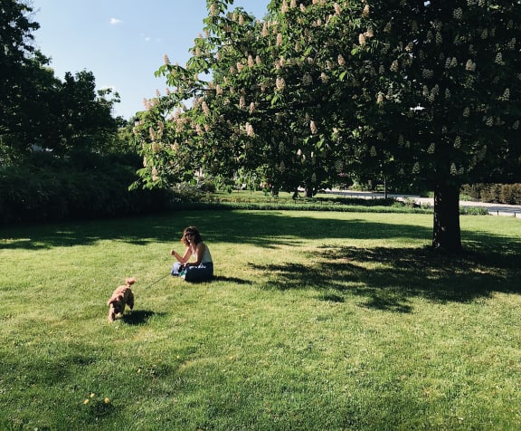 Brand New Luxury Apartments in Parkside D.C. | Jayde Parkside