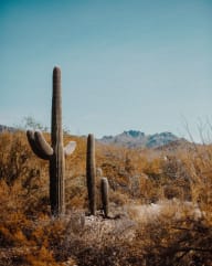 Painted Trails | Apartments in Gilbert, AZ