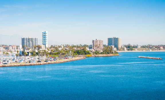 Edison | Apartments in Long Beach, CA