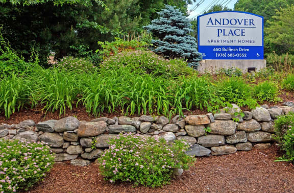 Photos and Video of Andover Place Apartment Homes in Andover, MA