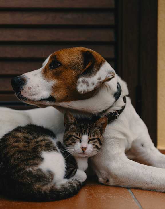 Luxury Apartments in Denton, TX | Resia Rayzor Ranch