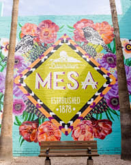 Discovery Point Retirement Community | Apartments in Mesa, AZ