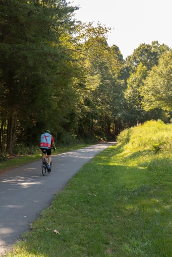 The Standard at Pinestone | Travelers Rest Apartments for Rent