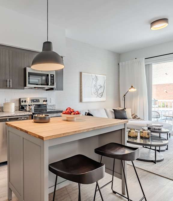 Modern Apartments for Rent in Decatur, GA | Resia Willows