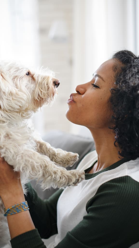 Dallas TX Apartments | Trend Design District | Home Page