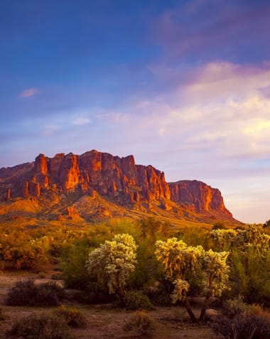 Discovery Point Retirement Community | Apartments in Mesa, AZ