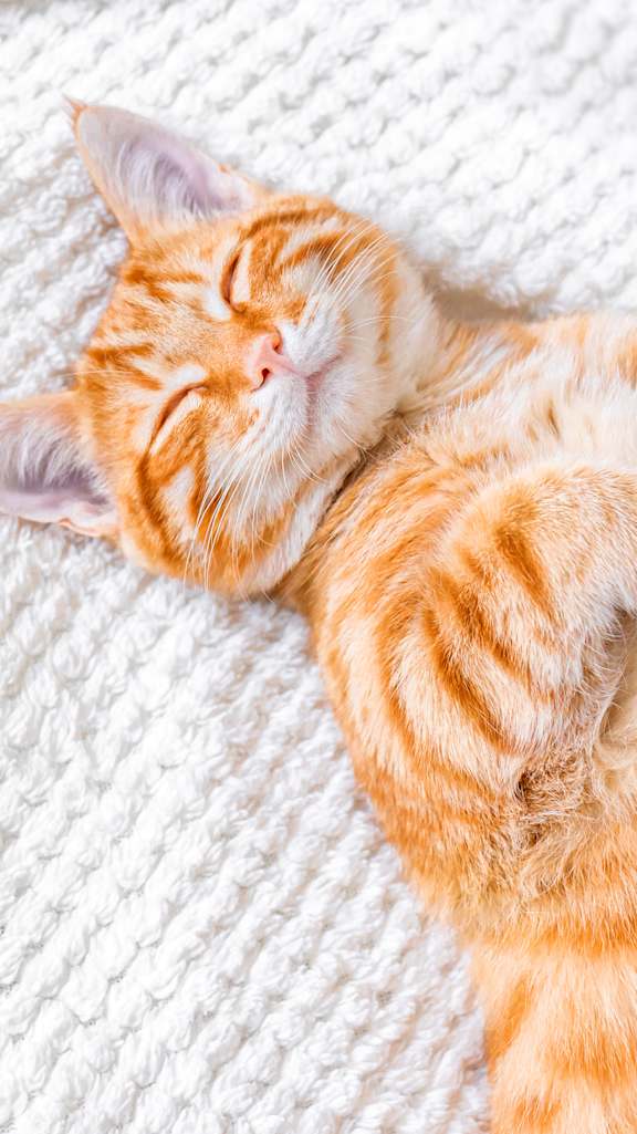 Azora Ranch Apartments | Apartments in Fort Worth, TX