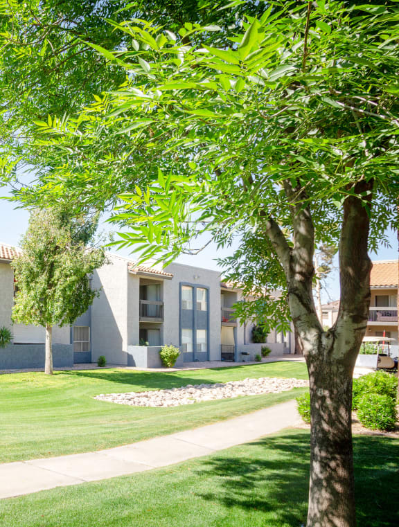 Apartments in East Mesa | Aztec Springs Apartments