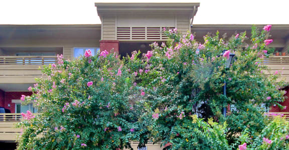 Apartments in Conway, SC | Aviary Village