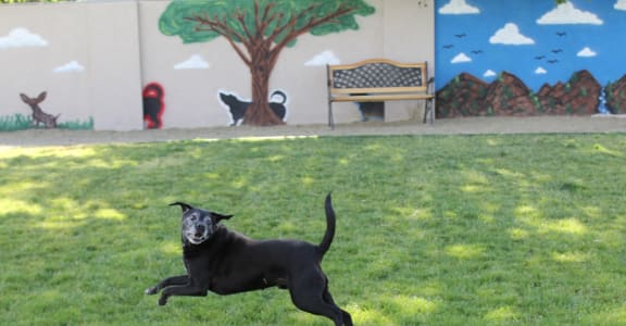 Carson Catalina Apartments | Apartments in Carson City, NV