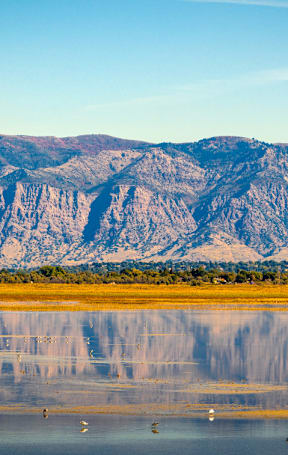 55+ Apartments in Utah | The Beckstead