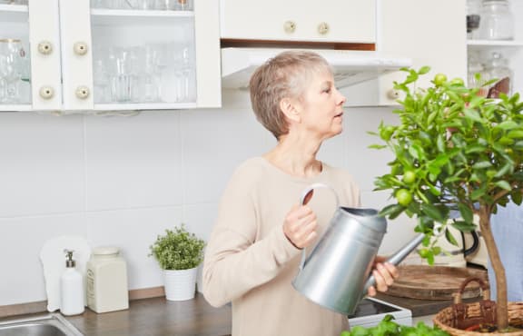 Veranda at Assembly | Apartments in Atlanta, GA