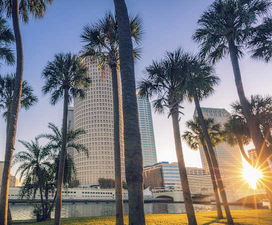 Downtown Tampa Apartments | Element Apartments