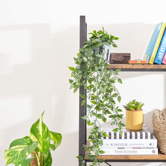 Placefirst | Meet our team