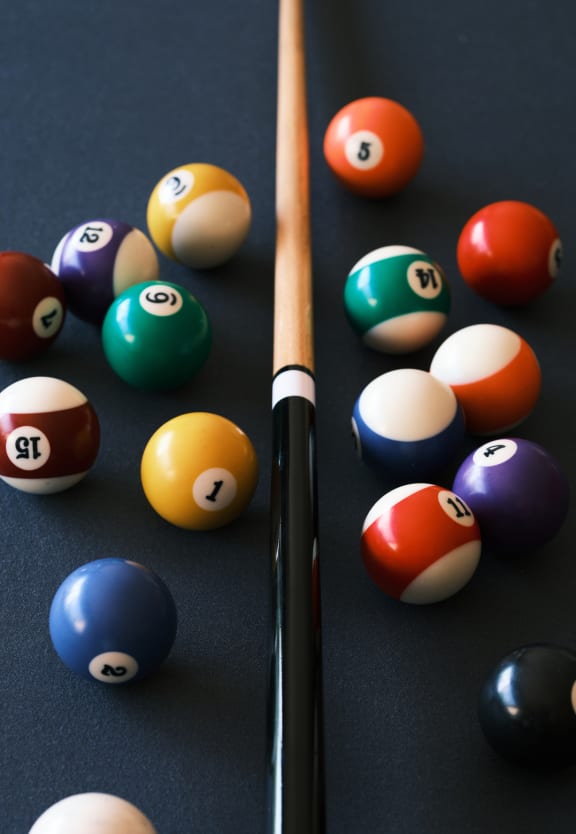 New Apartments in Sacramento | Track 281 Apartments | Home