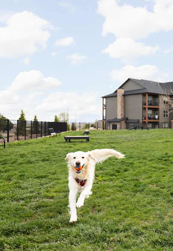 Apex | Apartments in Colorado Springs, CO