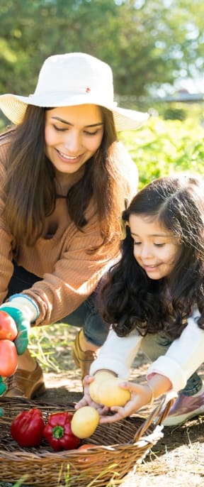 Broadleaf Arbor | Apartments in St Helens, OR